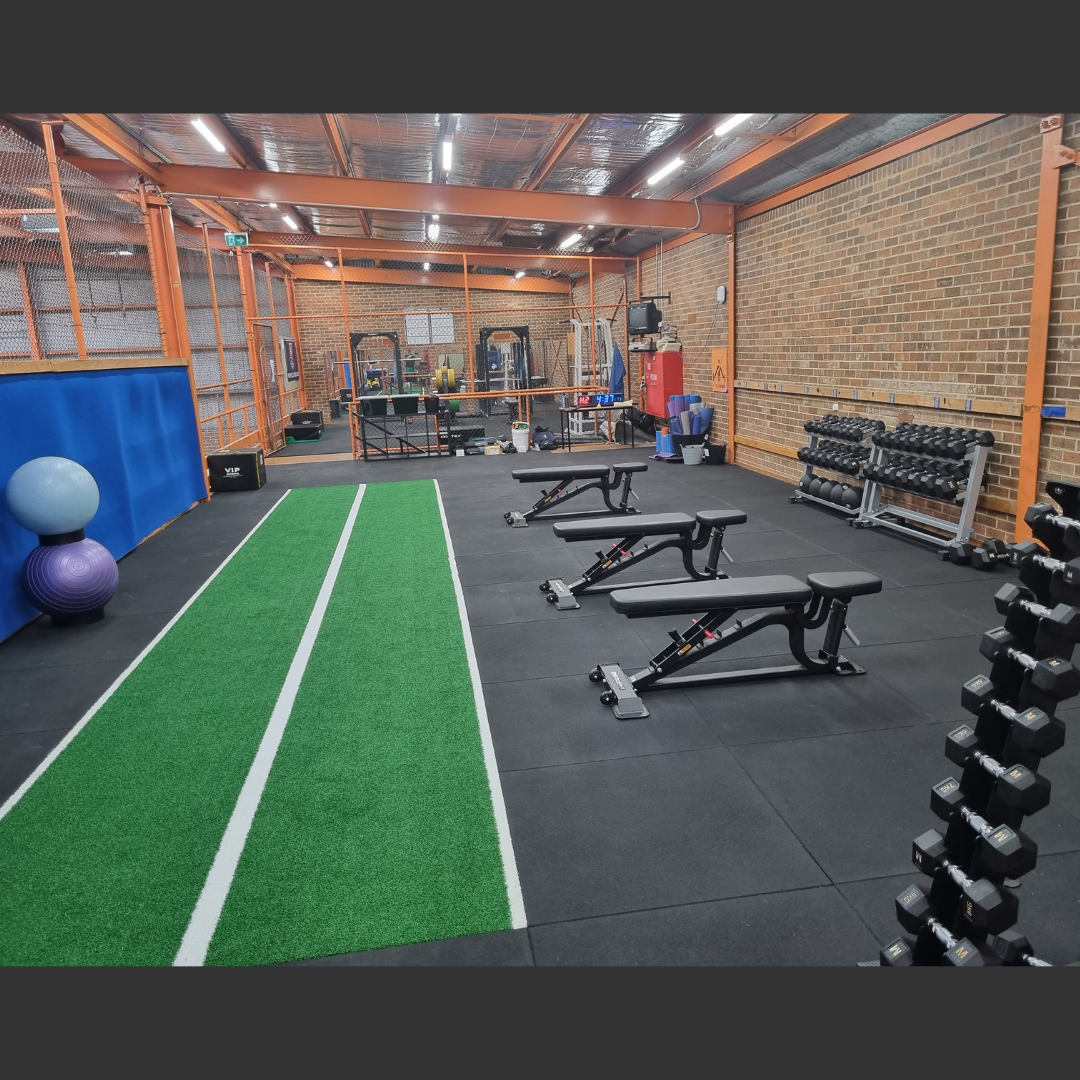 Ringwood Basketball Performance